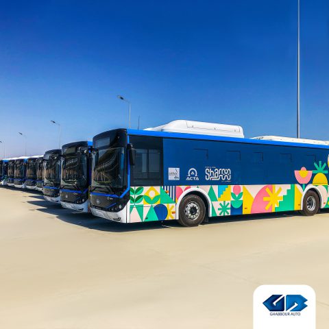 Higer Bus Company serves COP27 in Egypt with electric buses ...