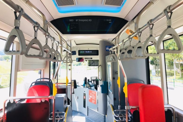First batch of 10 electric buses delivered in Singapore - Sustainable Bus
