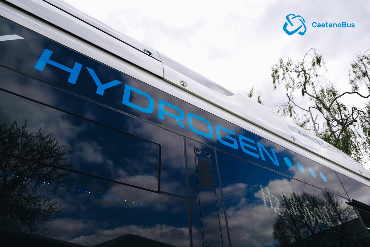 Fuel cell buses for Italy: CaetanoBus teams up with Industria Italiana ...